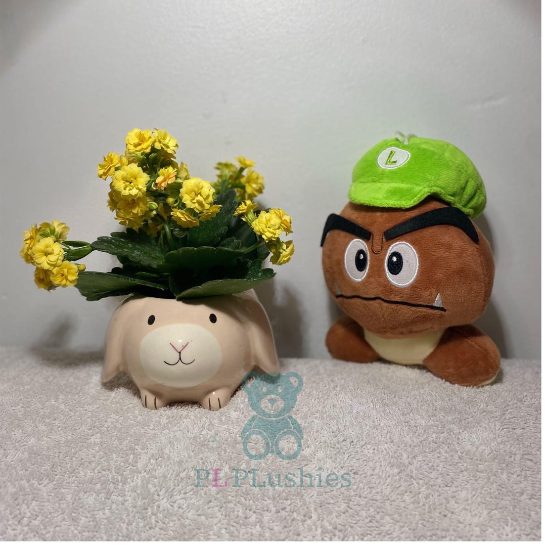 Luigi Goomba Super Marios Bros Soft Plush Toy - Etsy