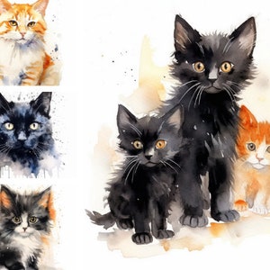 Assorted Cat Clipart Pack - 12 High Quality PNG- Digital Planner, Junk ...