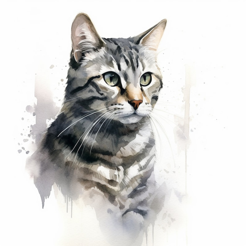 Assorted Cat Clipart Pack 12 High Quality PNG Digital Planner, Junk ...