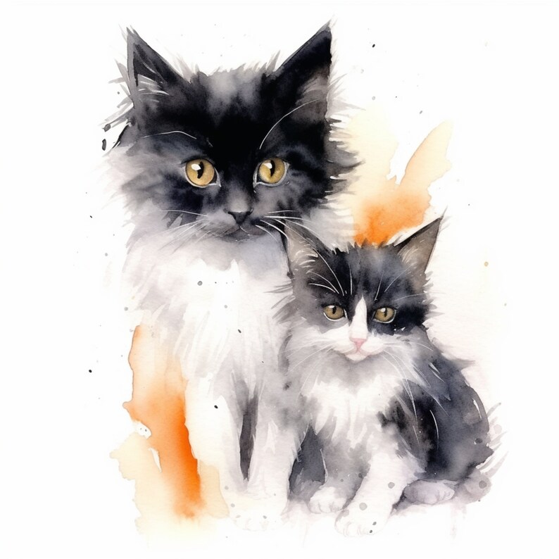 Assorted Cat Clipart Pack 12 High Quality PNG Digital Planner, Junk ...