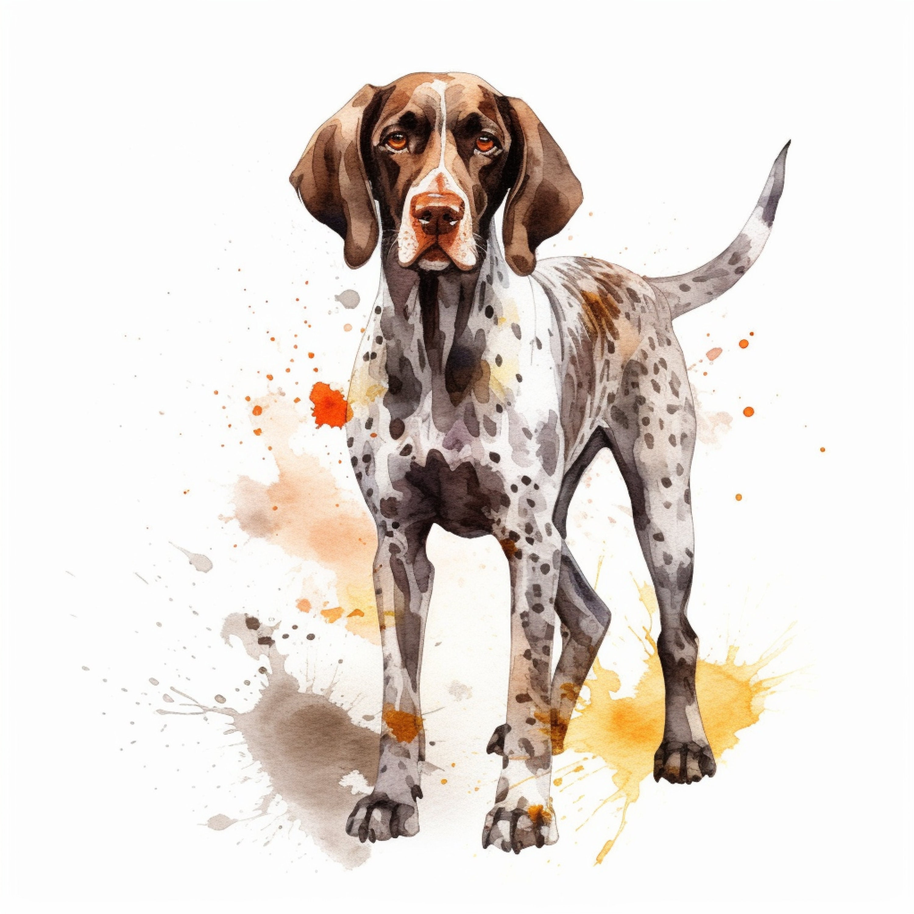 German Shorthaired Pointer Clipart - 12 High Quality PNG - Dog ...