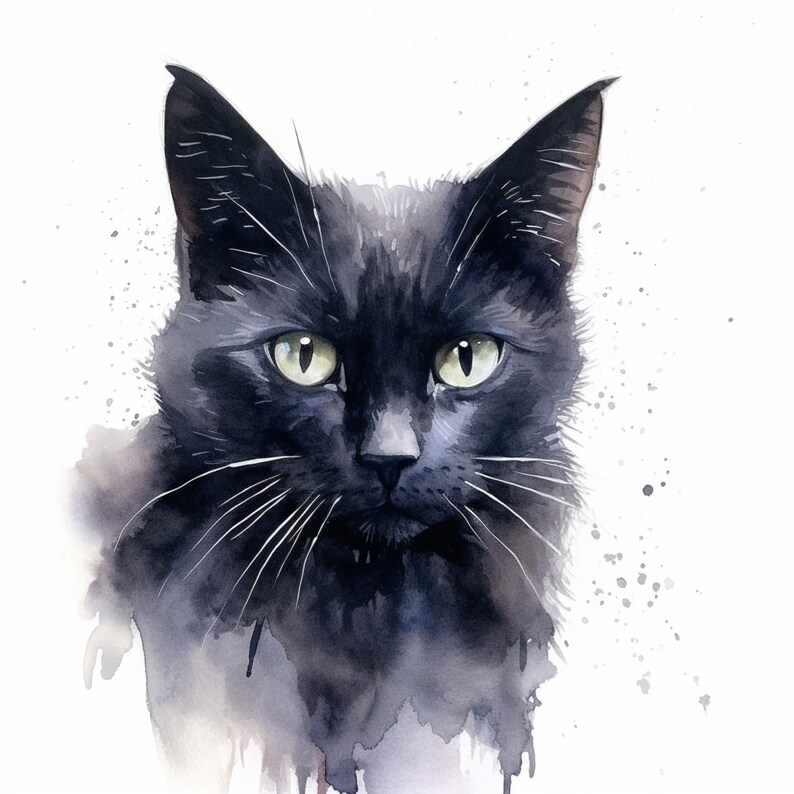 Assorted Cat Clipart Pack 12 High Quality PNG Digital Planner, Junk ...