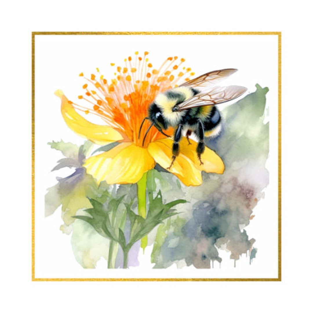 Bumblebee Clipart - 12 High Quality PNG - Digital Download - Card ...