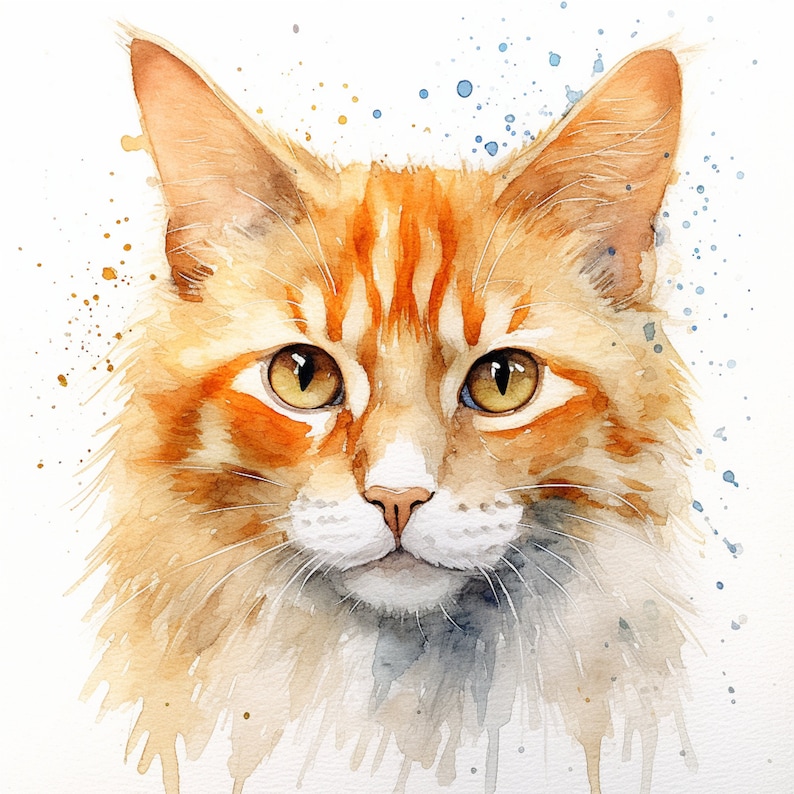 Assorted Cat Clipart Pack 12 High Quality PNG Digital Planner, Junk ...