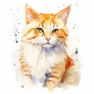 Assorted Cat Clipart Pack - 12 High Quality PNG- Digital Planner, Junk ...