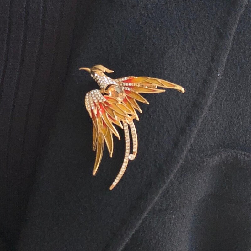 White Coat Pins - Etsy