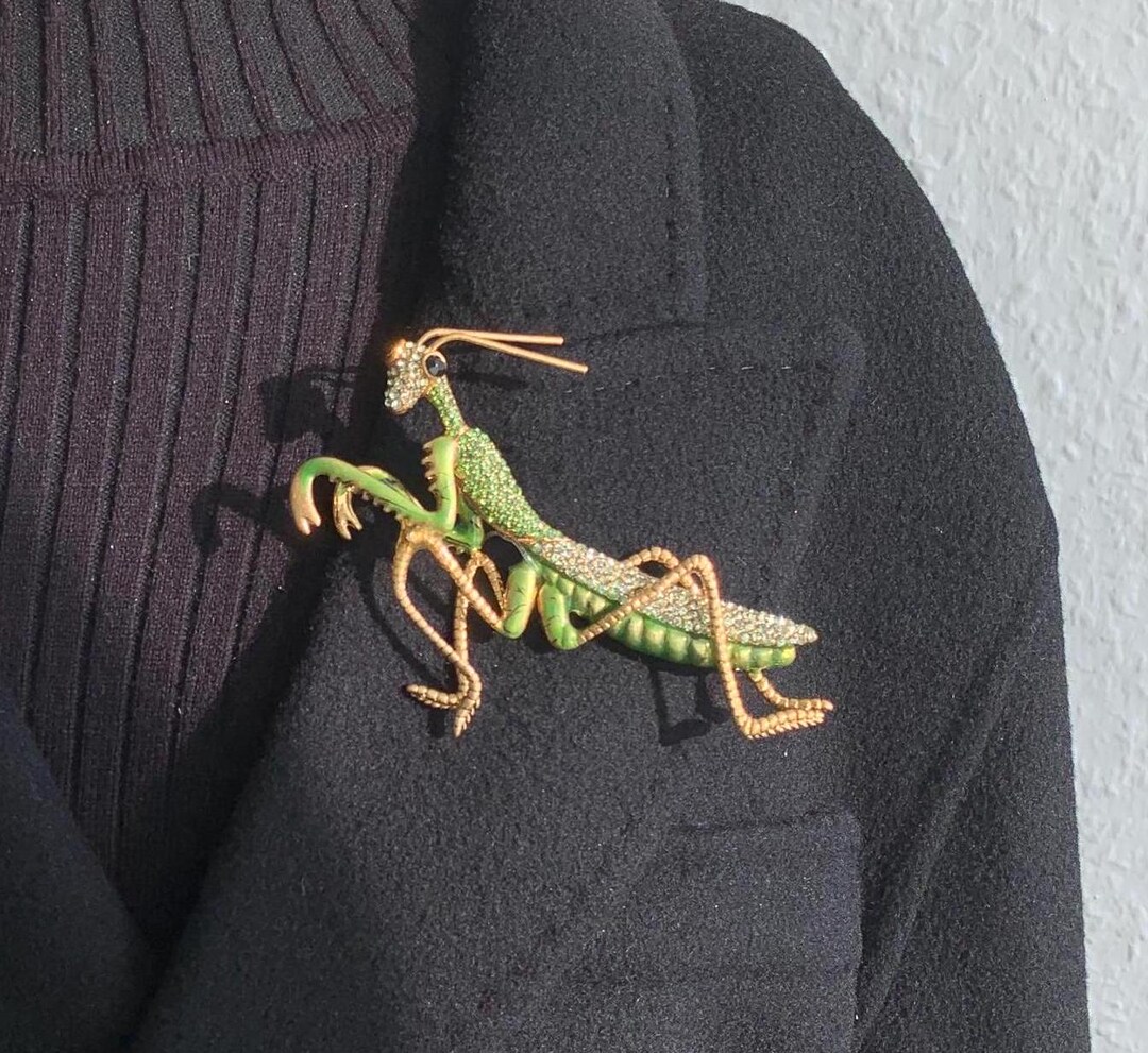 Praying Mantis Brooch Green Colour Party Rare Find Pins Jewelry Gift ...