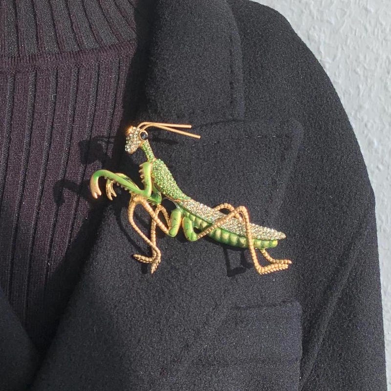 Praying Mantis Pin - Etsy