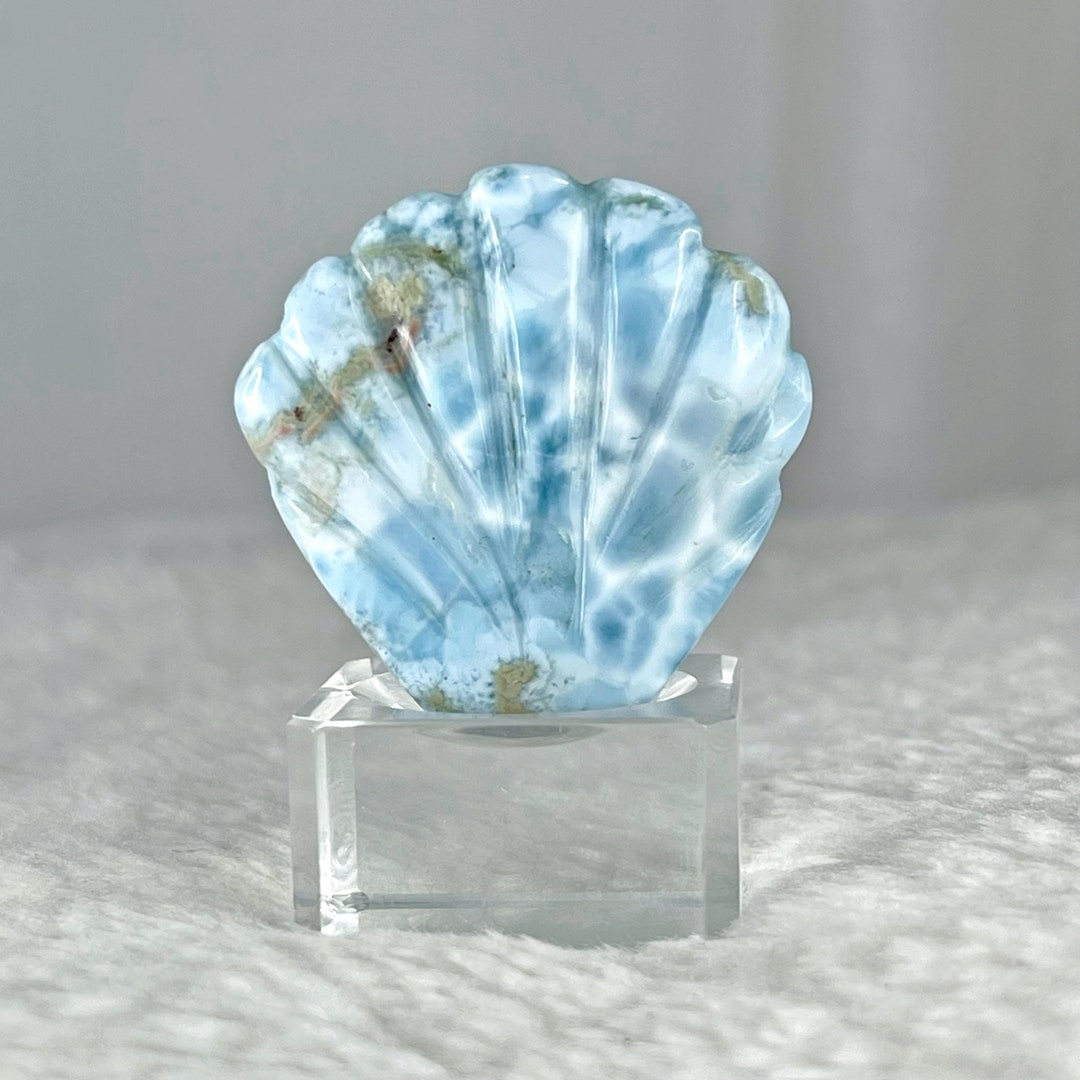 21g Larimar Sea Shell Palm Stone, High Quality Blue Gemstone With Ocean ...