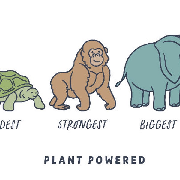 Girls/boys Hoodie Dinosaur/animal Inspired Graphic Ethically Sourced ...