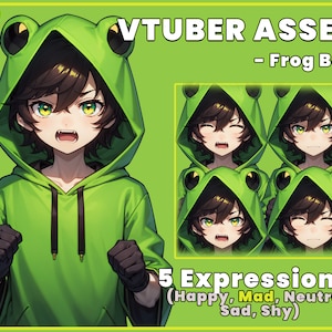Cute Pngtuber Model | Frog Boy Pngtuber Premade Model | Veadotube Model | Cute PNG Tuber Model ...
