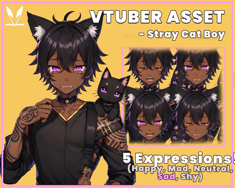Pngtuber Stray Cat Boy 2D Premade Model With 5 Emotions for Streaming ...
