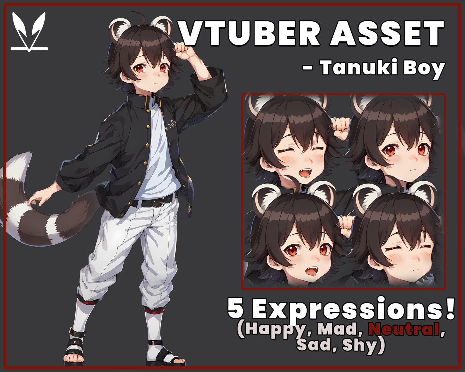 Pngtuber Cute Takuki Boy 2D Premade Model With 5 Emotions Full Body ...