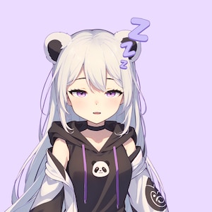 Premade Live2d Vtuber Model - Panda Girl for Vtube Studio as a Cute ...