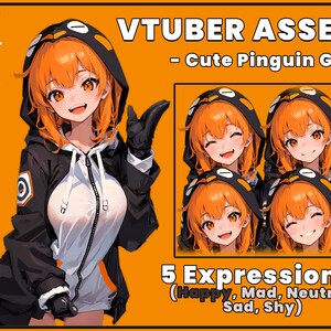 Pngtuber - Cute Pinguin Girl | 5 Expressions | Premade | Animal ...