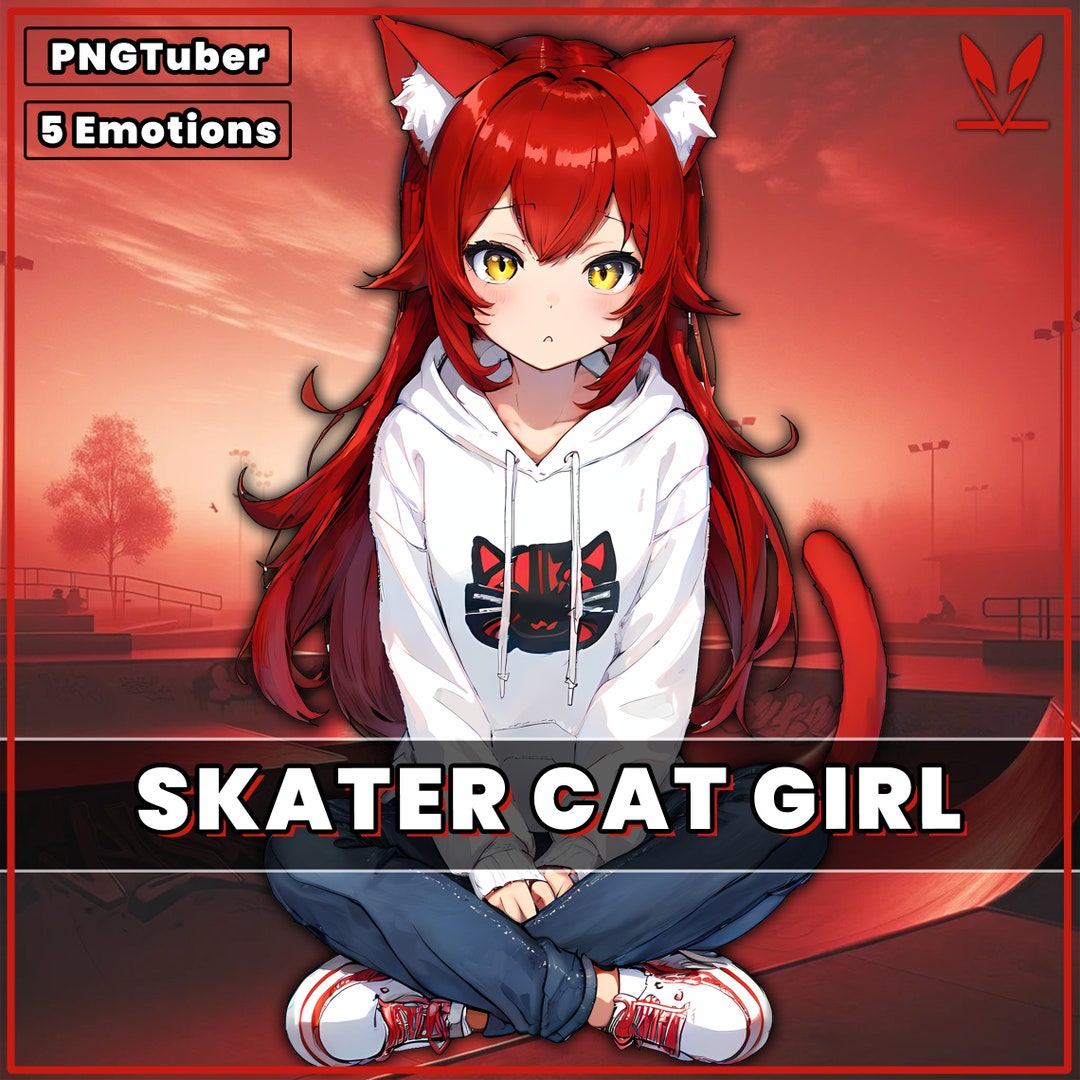 Pngtuber Casual Cat Girl 2D Premade Model With 6 Variations and Each ...