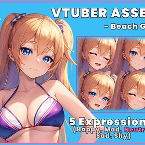 Pngtuber Summer Beach Girl 2D Premade Model With 5 Emotions for Streaming Png | Girl Pngtuber by ...