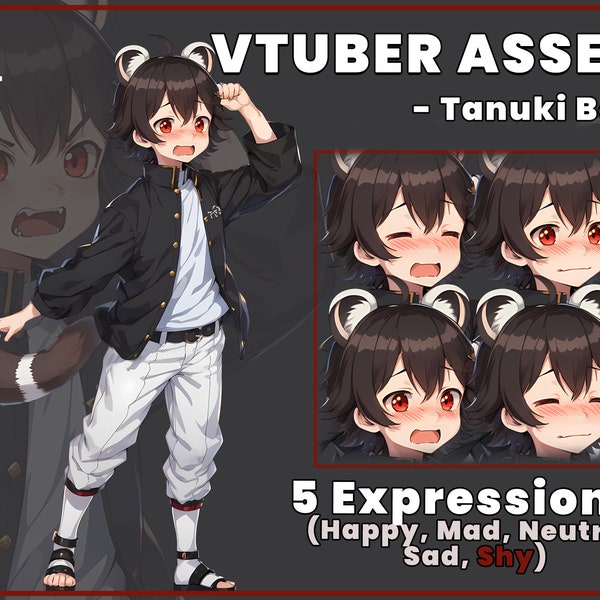 2d Vtuber Model Raccoon - Etsy