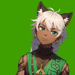 Vtuber - Jade Cat Boy for Vtube Studio as a Cool Green, Gold Full Body ...