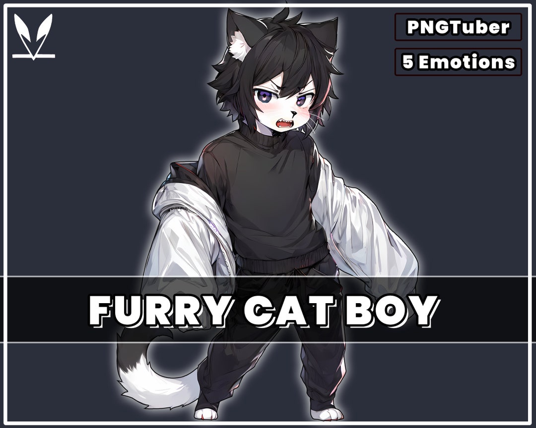 Pngtuber Furry Cat Boy 2D Premade Mode With 5 Emotions for - Etsy