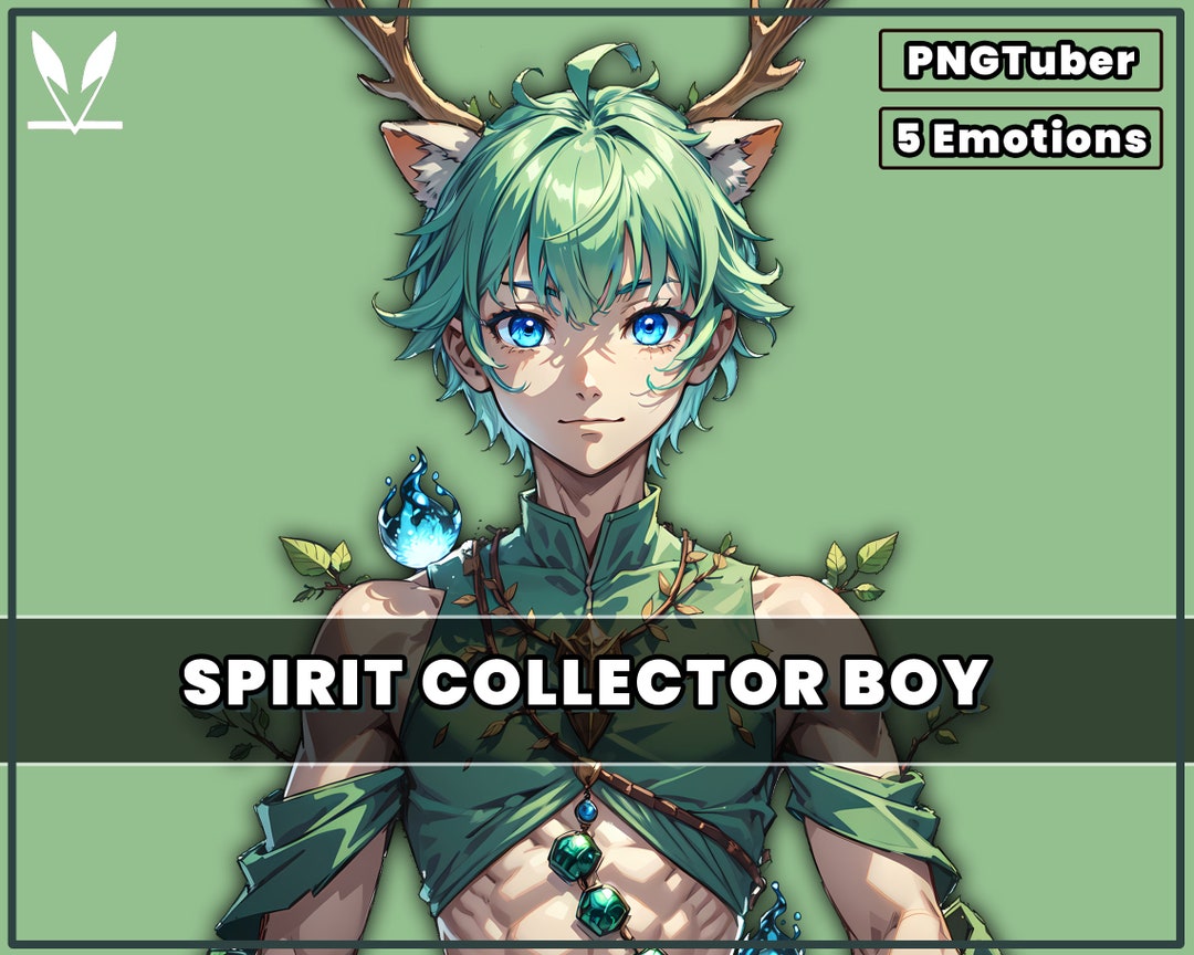 Pngtuber Spirit Collector Boy 2D Premade Model With 5 Emotions - Etsy
