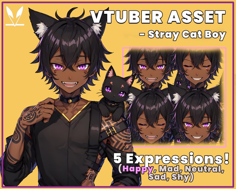 Pngtuber Stray Cat Boy 2D Premade Model With 5 Emotions for Streaming ...