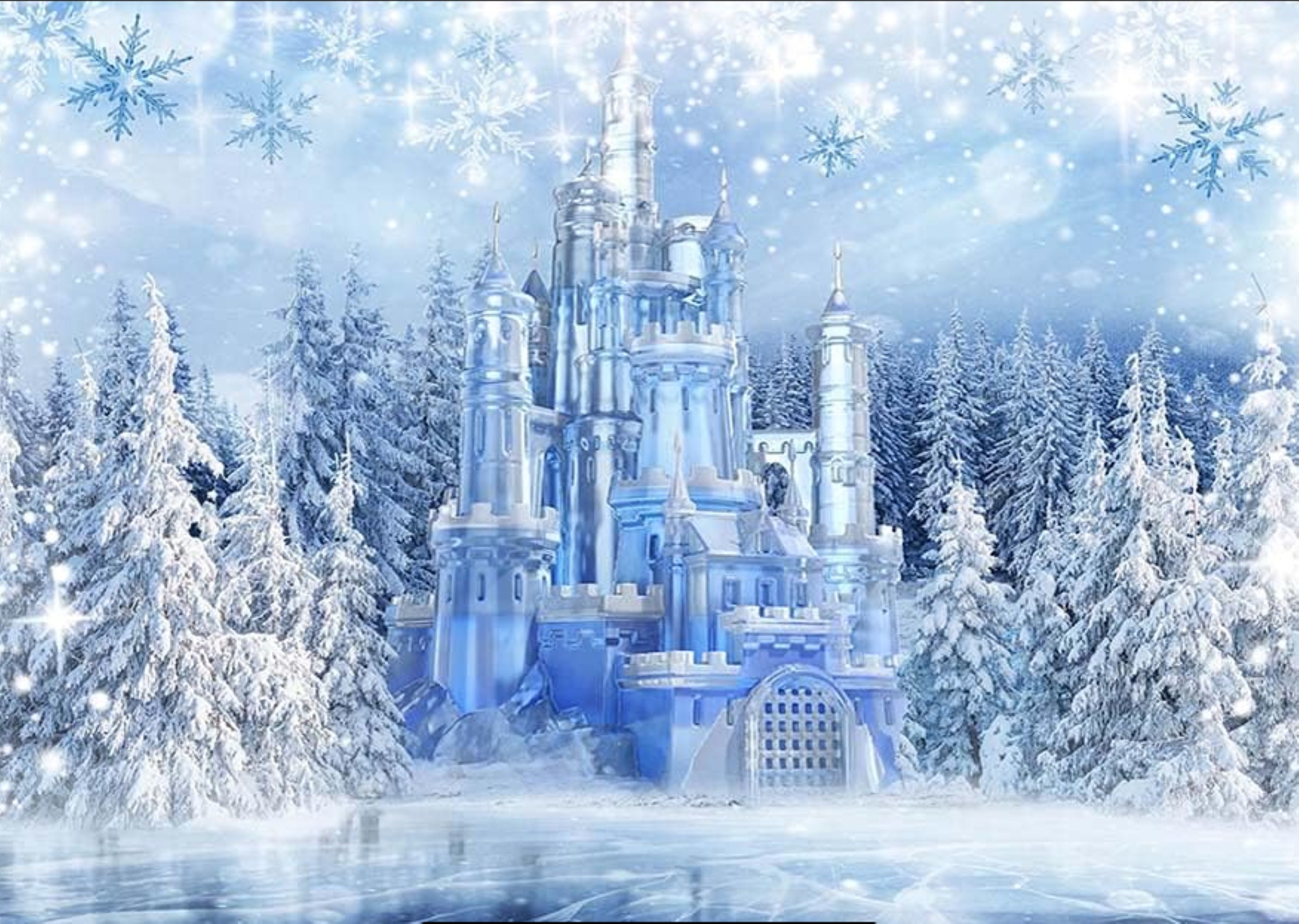 Frozen Winter Backdrop - Etsy