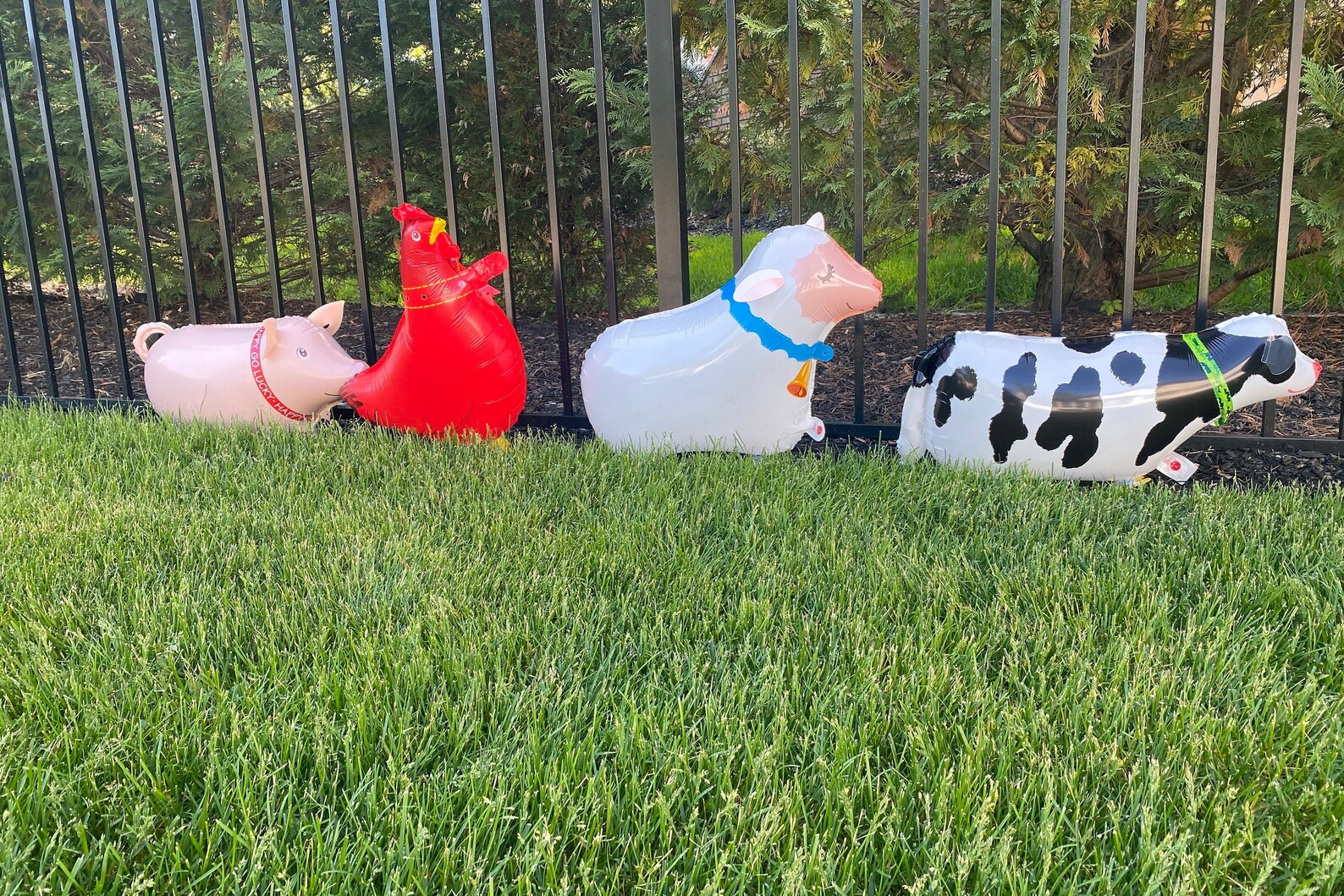 Farm Animal Walking Balloons - Etsy