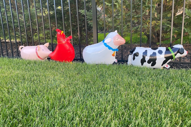 Farm Animal Walking Balloons Set of 4 — Cow Pig Sheep Chicken ...