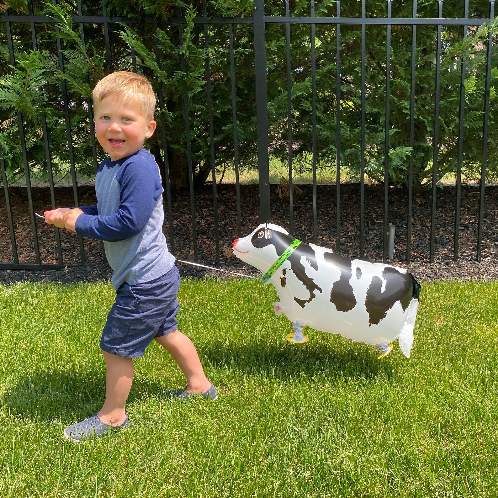 Farm Animal Walking Balloons Set of 4 — Cow Pig Sheep Chicken ...