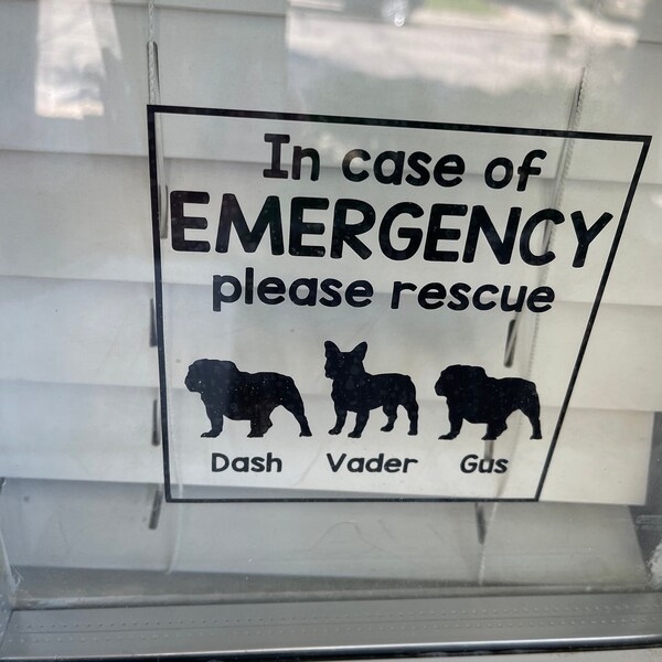 Cat Emergency Window Sticker - Etsy