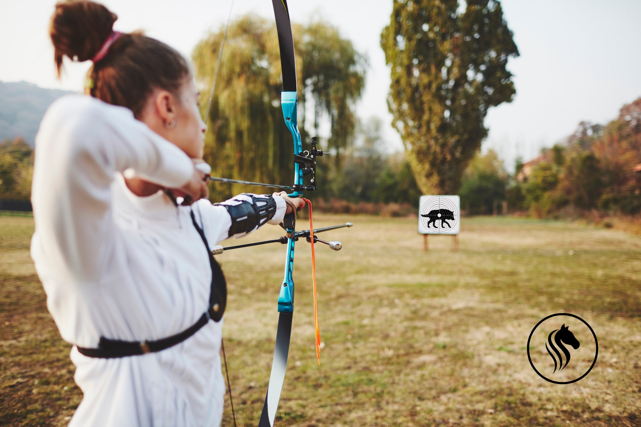 Archery Target Bundle | Animal Targets | Instant Download | Printable ...