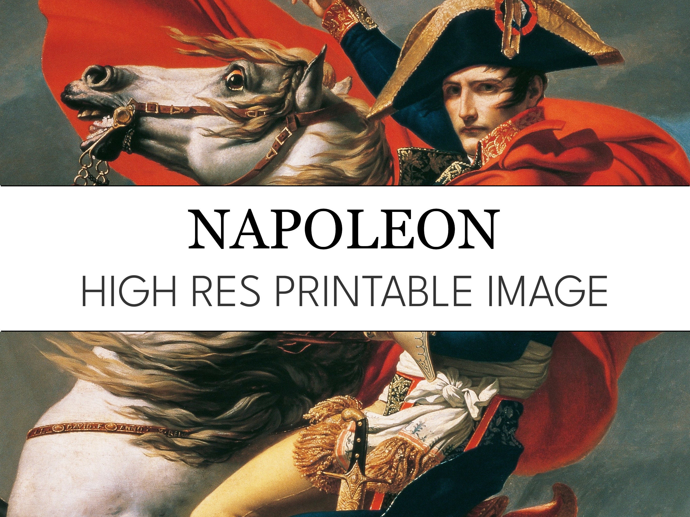 Napoleon Crossing the Alps Printable Digital Print // Jacques-louis ...