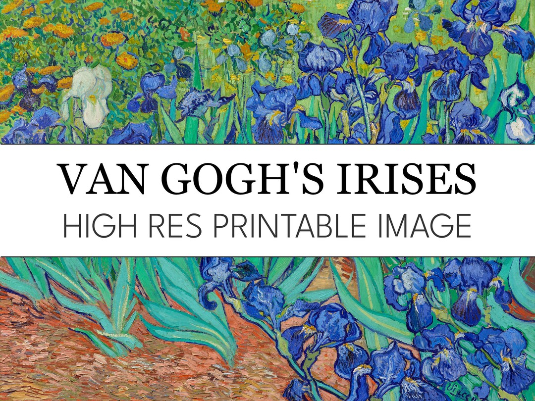 Van Gogh Irises Print: High-res Post-impressionist Art (digital ...