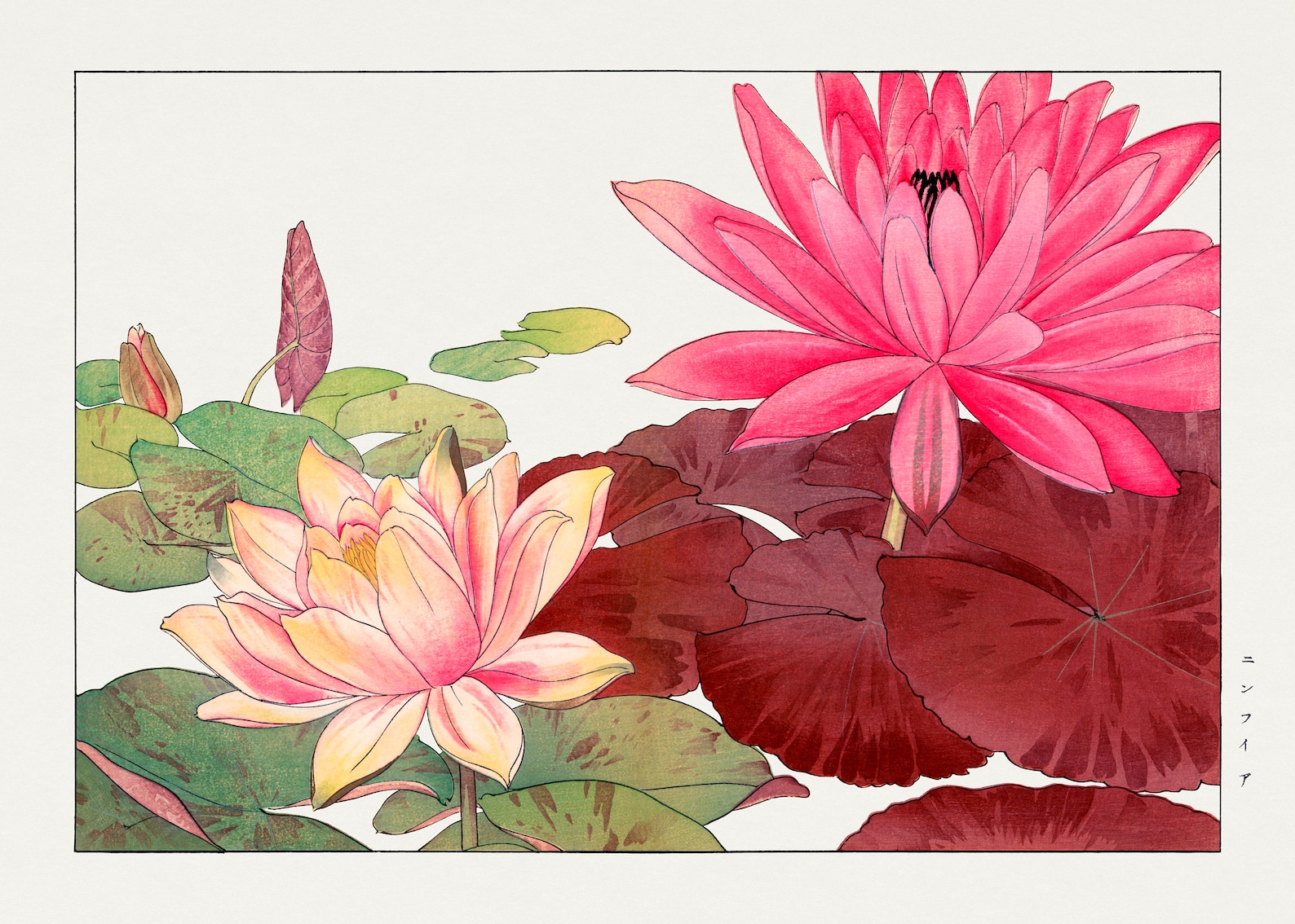 Japanese Flower Paintings: Tanigami Konan Art Prints (digital Download ...