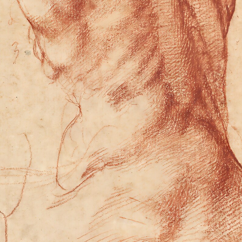 Michelangelo Anatomy Study: Renaissance Drawing of Male Model (digital ...