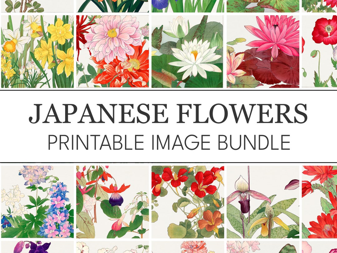 Japanese Flowers 25 Printable Images Bundle // Tanigami Konan Flower ...