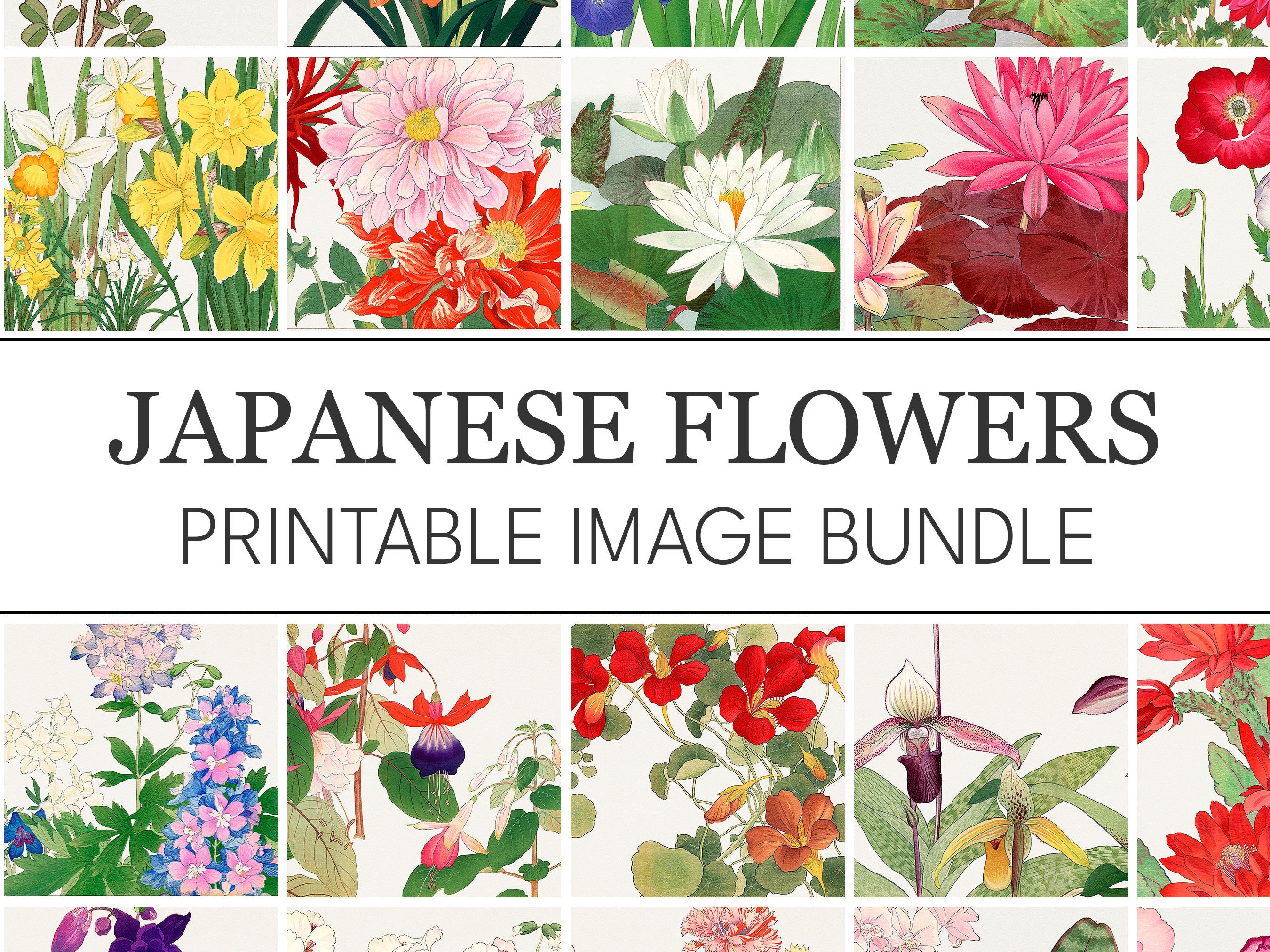 Japanese Flower Paintings: Tanigami Konan Art Prints (digital Download ...