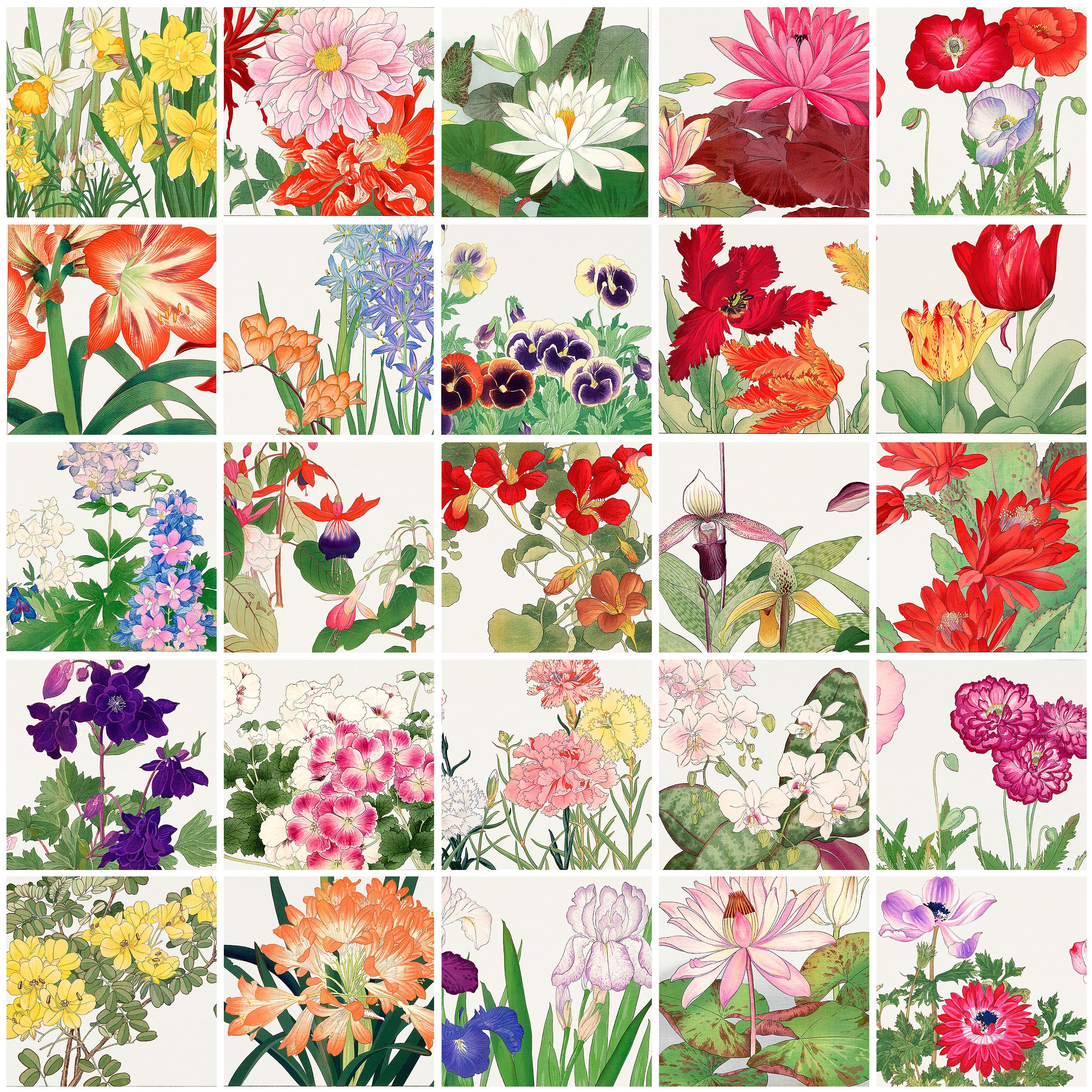 Japanese Flower Paintings: Tanigami Konan Art Prints (digital Download ...