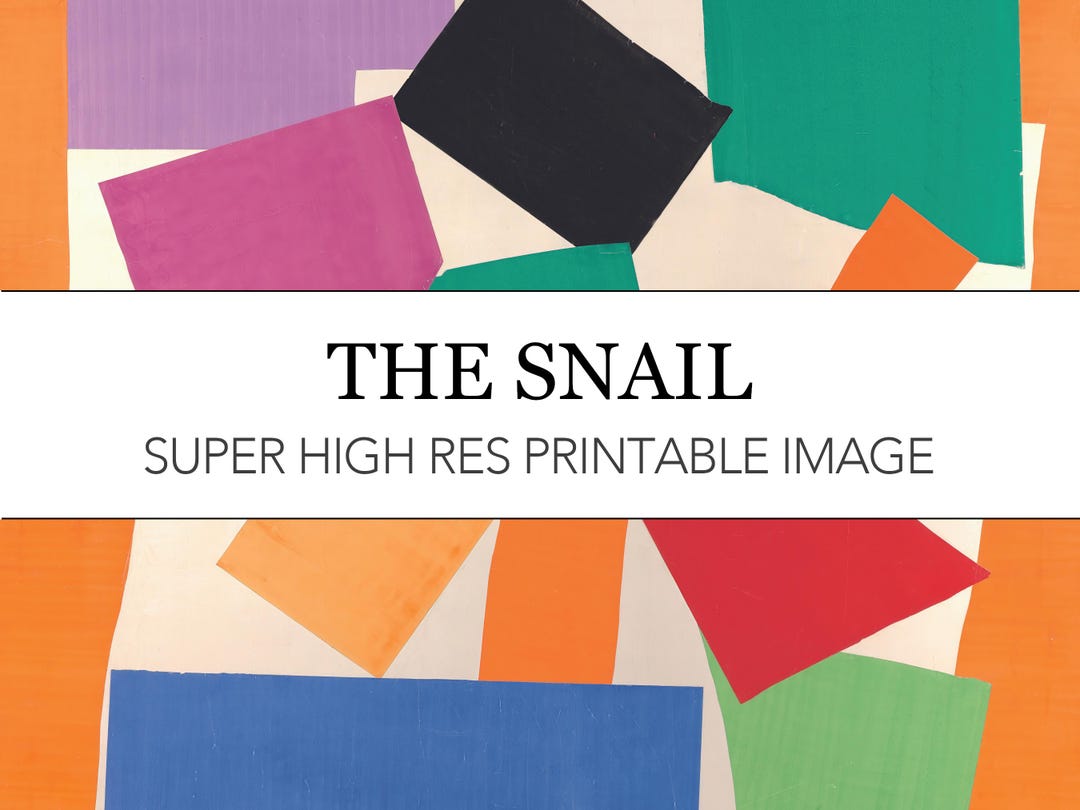 Matisse the Snail Print: Abstract Cut-outs (digital Download) - Etsy