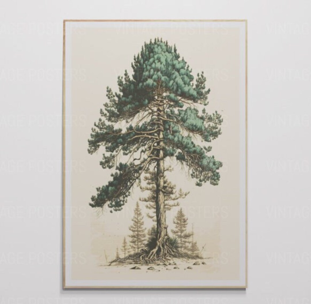 Vintage Hand Drawn Pine Tree Poster - Etsy