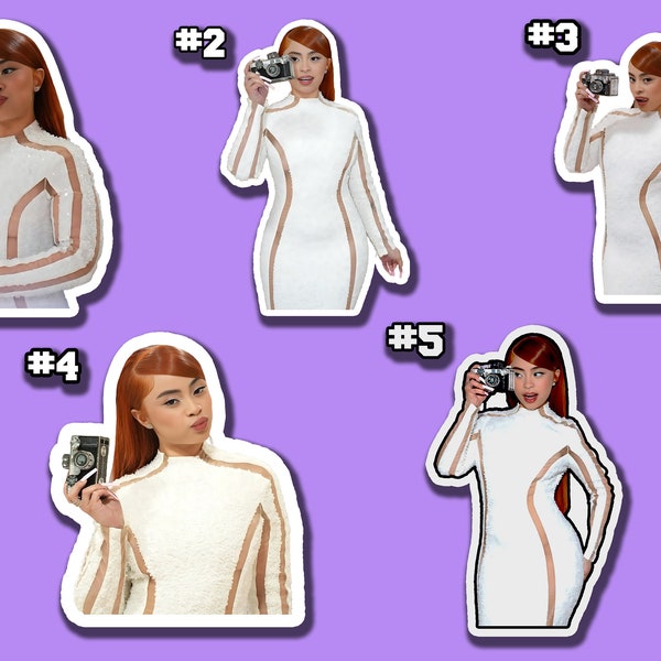 Ice Spice Flag - Etsy