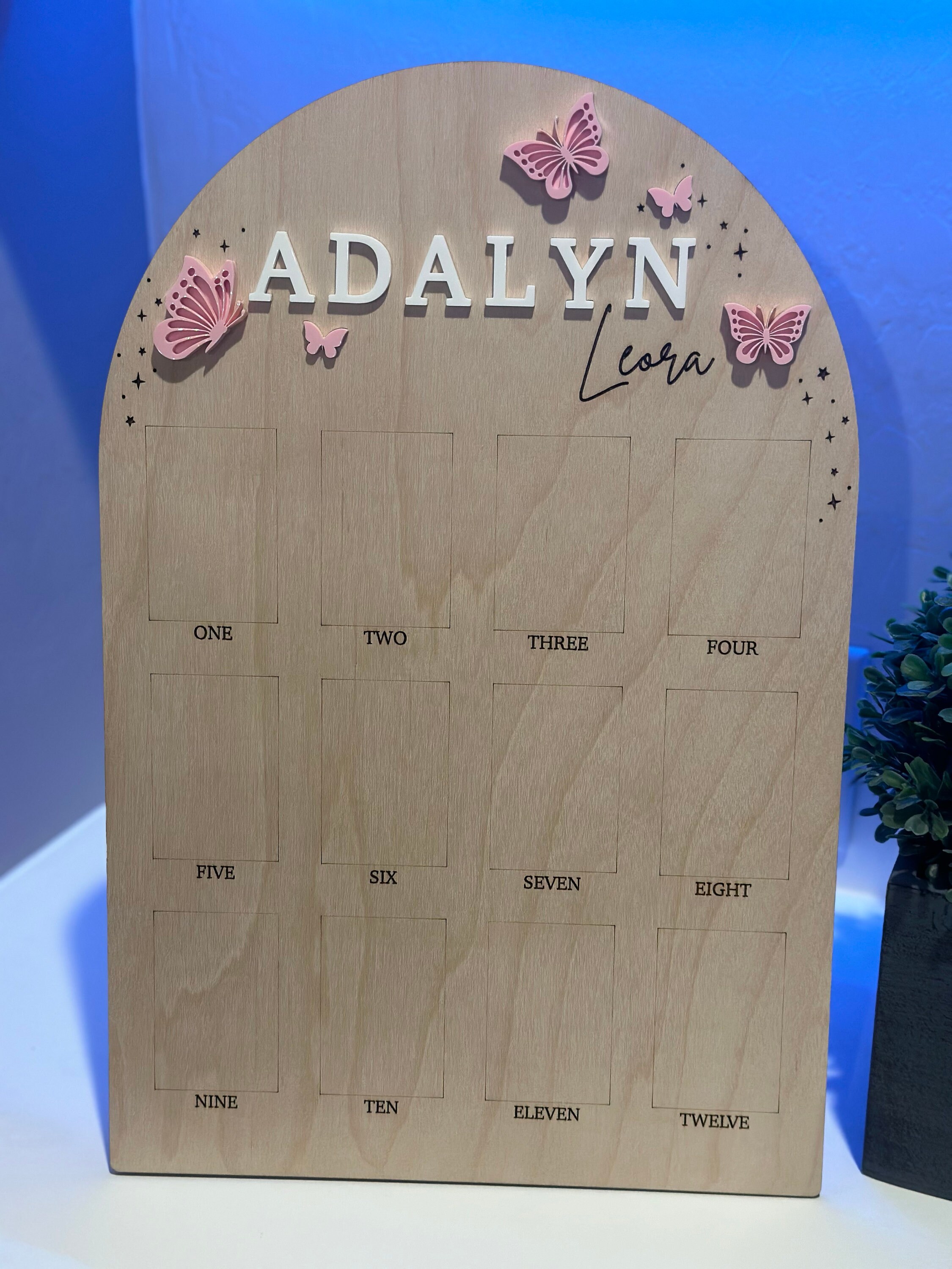 First Year Birthday Board, Monthly Milestone Photo Board, Personalized ...