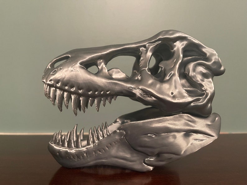 Tyrannosaurus Rex Skull - Etsy