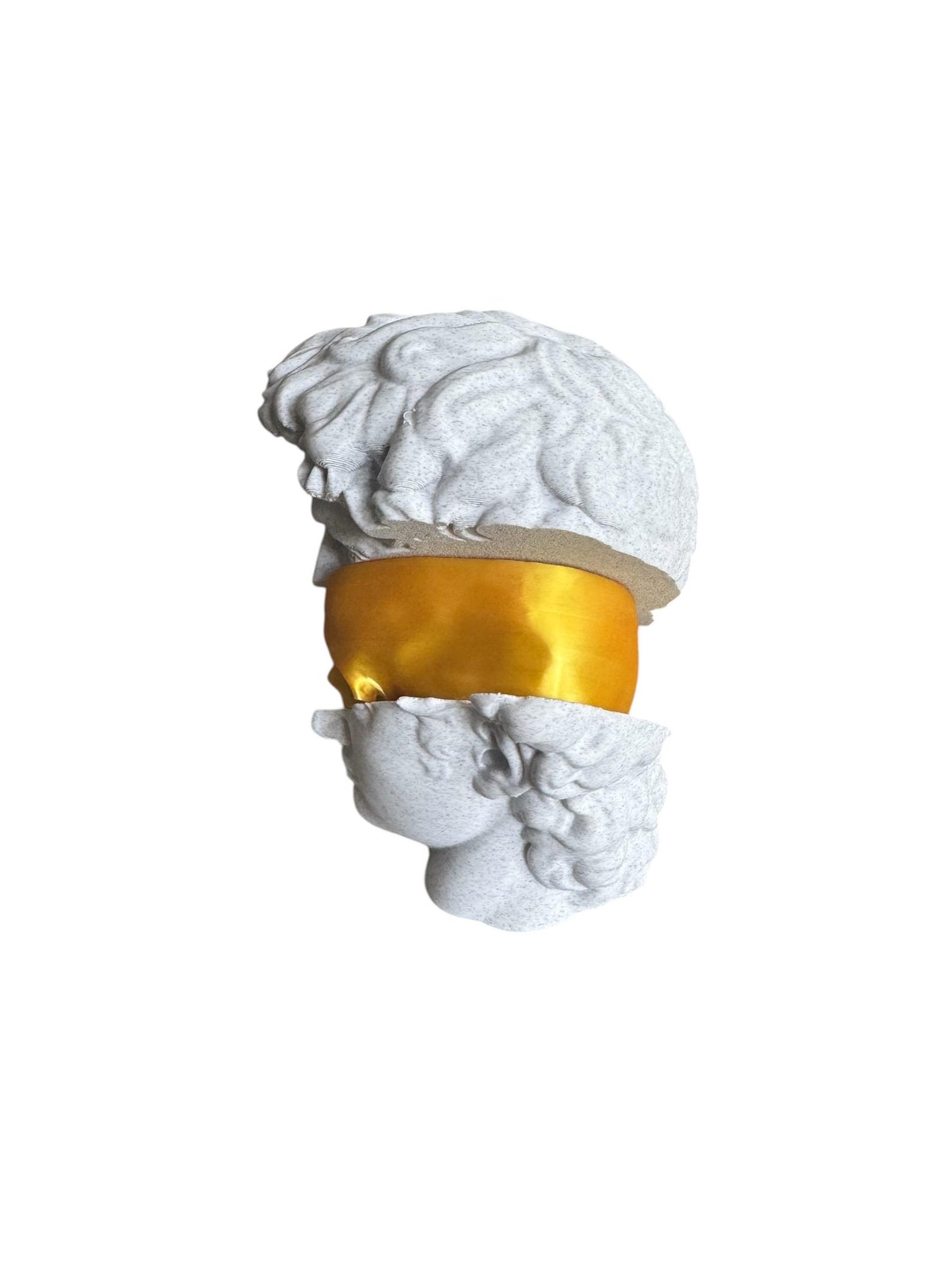 Shattered Beauty Sculpture: Gilded Skull Bust, Modern Surreal Art - Etsy