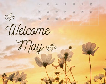 13 Month Calendar May 2023-may 2024 | Printable| Instant Download ...