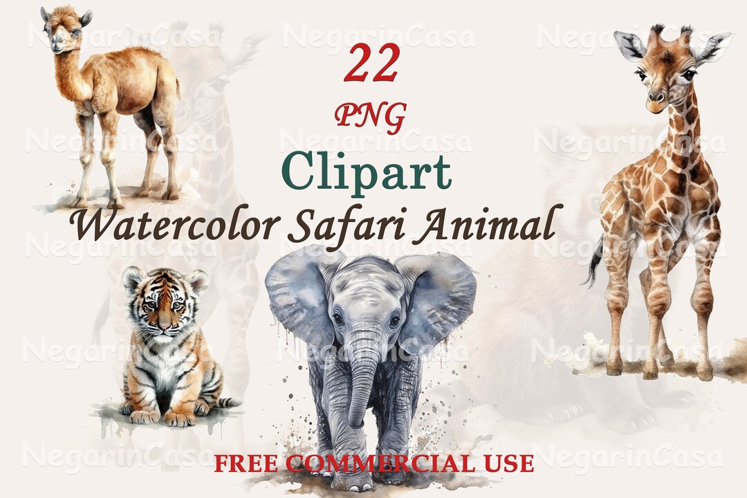 Baby Safari Animal Clipart – Watercolor Jungle Nursery PNG Set - Etsy