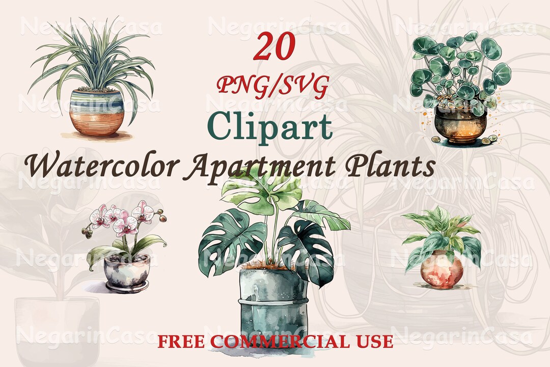 Apartment Plant Clipart – Watercolor Indoor Plants PNG Set - Etsy