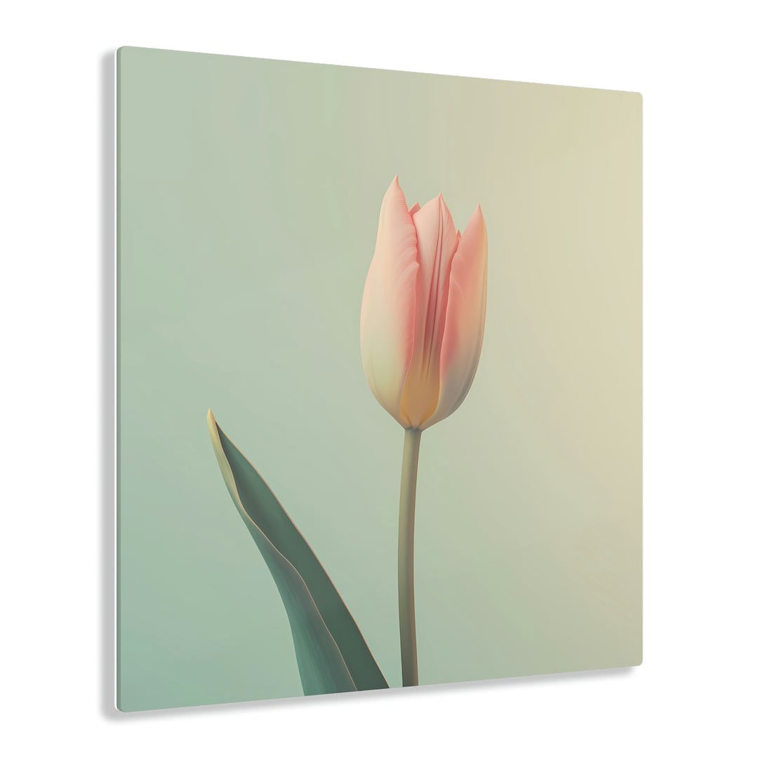 Tulip Acrylic Prints - Etsy