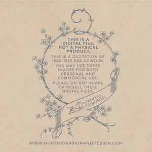 Vintage Printable Circle Floral Border Illustration, Line Art, JPG, PNG ...